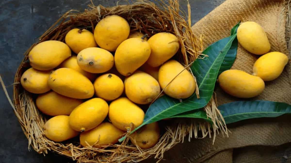 Top 7 Types Of Indian Mangoes To Try This Summer